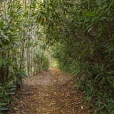 Sam's Knob and Little Sam Loop , North Carolina - 414 Reviews, Map ...