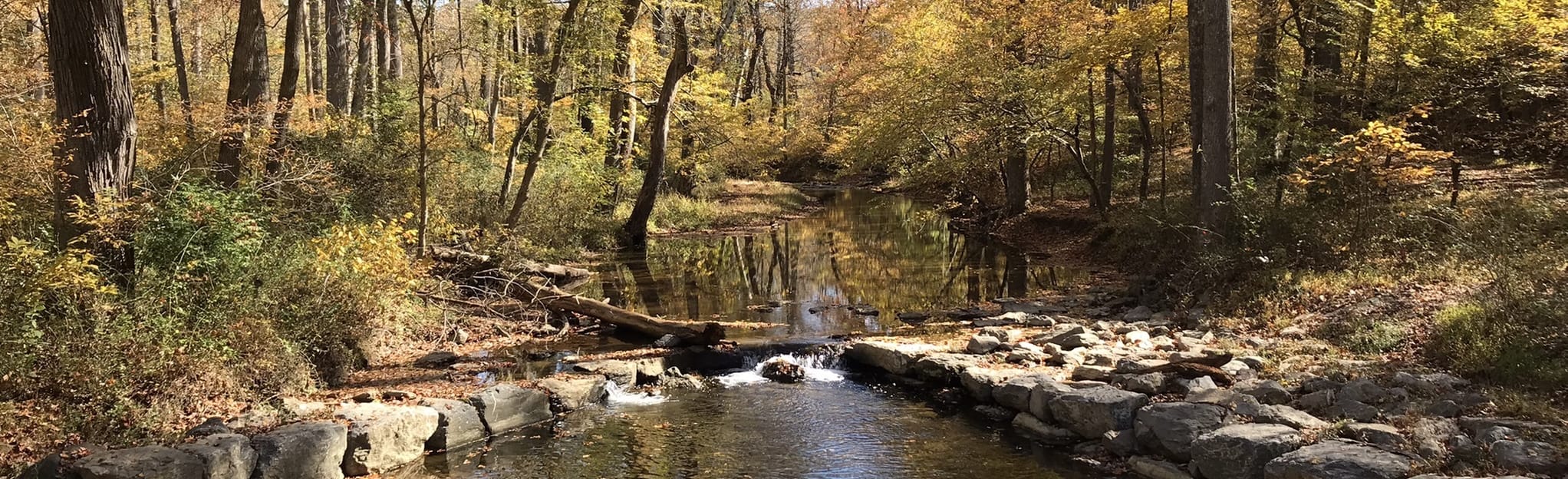 AllTrails | Western Piedmont Trail, Mount Builder, Owl Ridge Loop: 174 ...