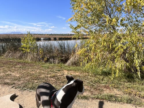 Best Hikes and Trails in Broomfield Community Park | AllTrails