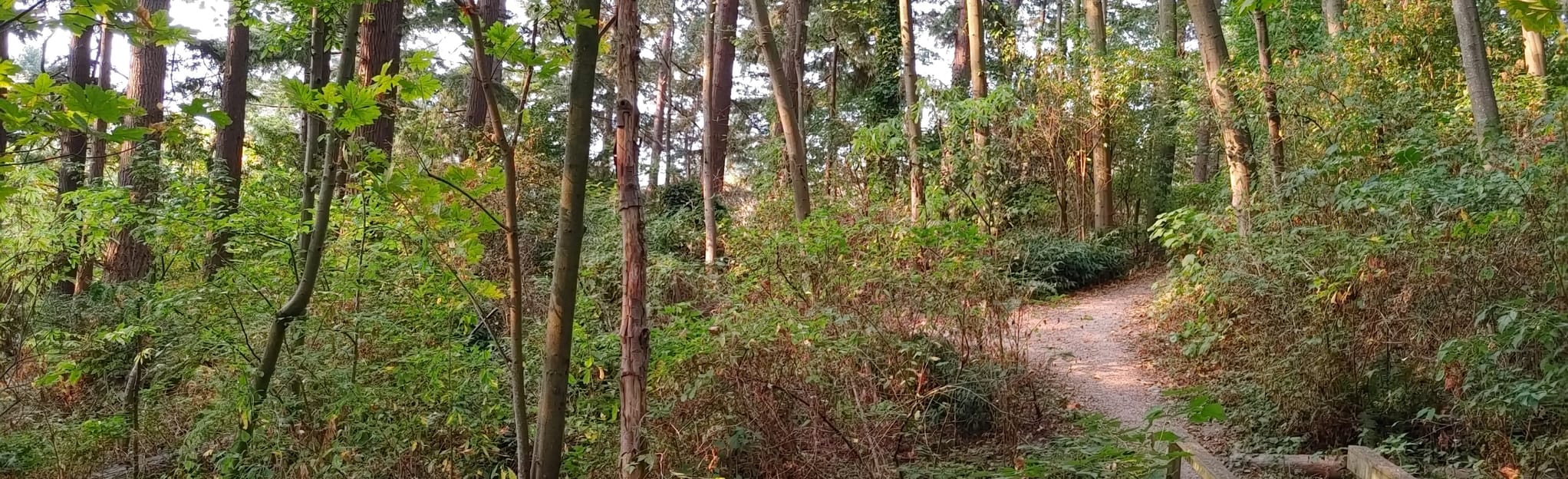 Duprez Trail and Ruth Johnson Loop, British Columbia, Canada - 79 ...