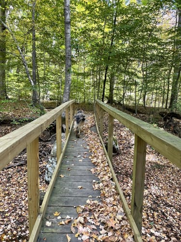 Best Hikes and Trails in Lake Malone State Park | AllTrails