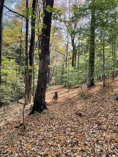 Best Hikes and Trails in Lake Malone State Park | AllTrails