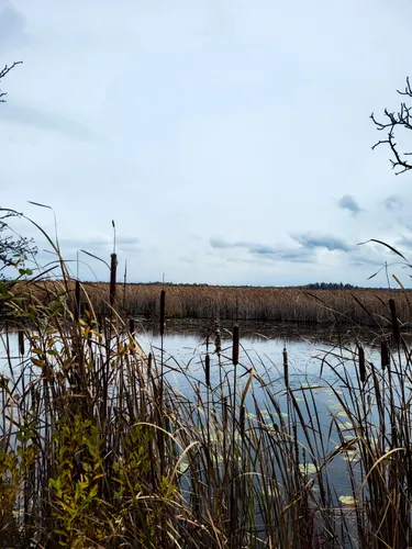 Gamiing Nature Center Trail System: de beste routes om te wandelen ...