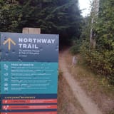 Northway, Crystal Mountain, PCT, and Bullion Basin Trail Loop ...