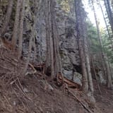 Northway, Crystal Mountain, PCT, and Bullion Basin Trail Loop ...