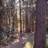 Northway, Crystal Mountain, PCT, and Bullion Basin Trail Loop ...