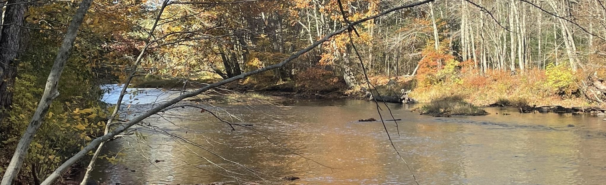 Becker Conservation Trail: 27 Reviews, Map - Connecticut | AllTrails