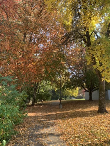 2023 Best 10 Trails and Hikes in Albany | AllTrails