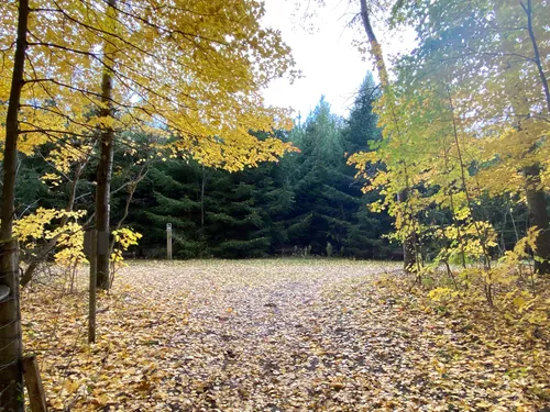 2023 Best Moderate Trails in York Regional Forest | AllTrails