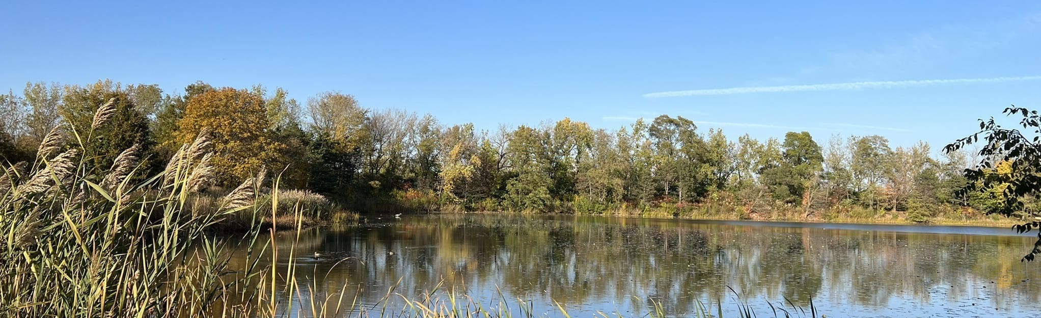 Lake Katherine Trail, Illinois - 353 Reviews, Map | AllTrails