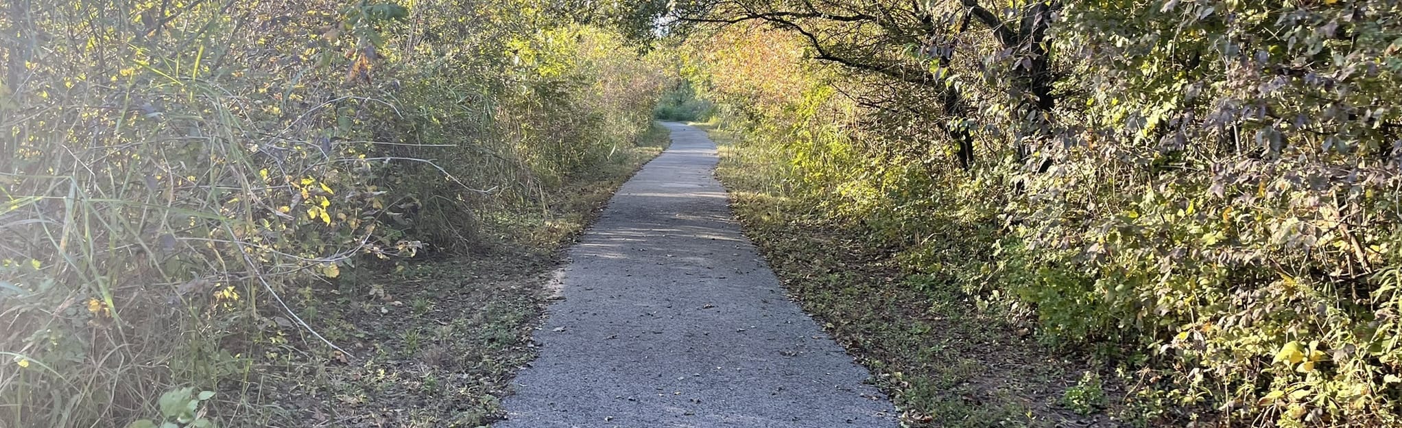 Sandtown Woods Trail: 32 Reviews, Map - Oklahoma | AllTrails