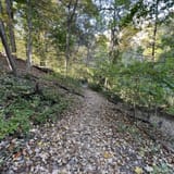 Glover-Archbold Trail, District of Columbia - 381 Reviews, Map | AllTrails