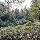 Glover-Archbold Trail, District of Columbia - 381 Reviews, Map | AllTrails