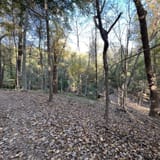 Glover-Archbold Trail, District of Columbia - 381 Reviews, Map | AllTrails