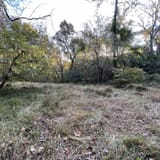 Glover-Archbold Trail, District of Columbia - 381 Reviews, Map | AllTrails