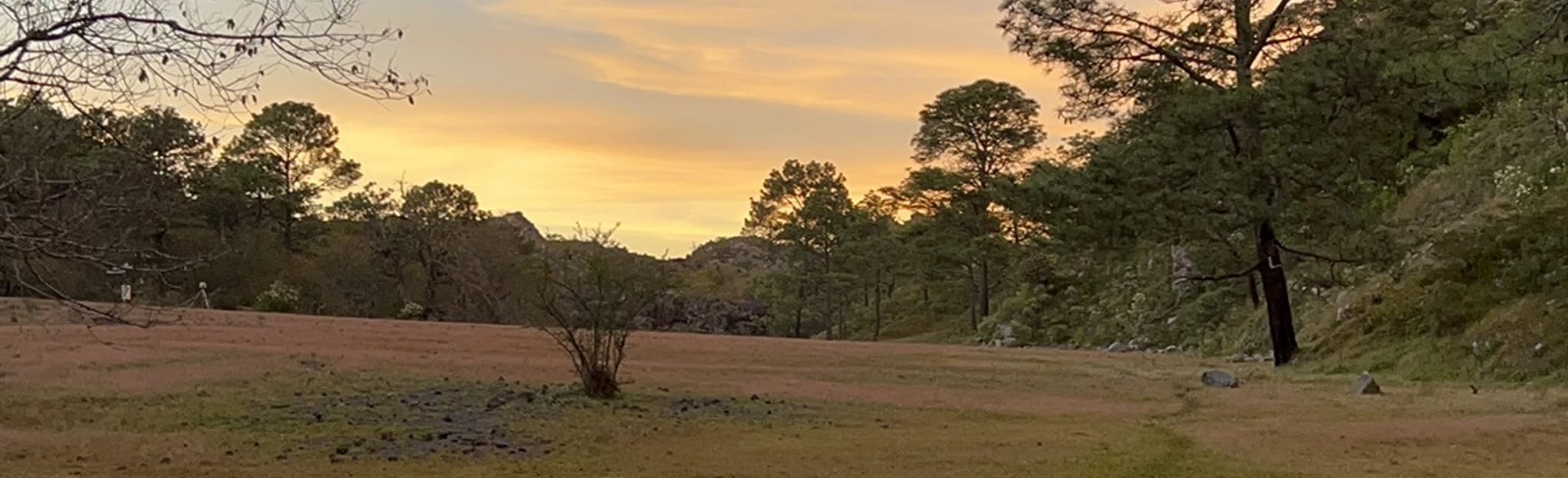 Volcan Ceboruco Sur | Map, Guide - Nayarit, Mexico | AllTrails