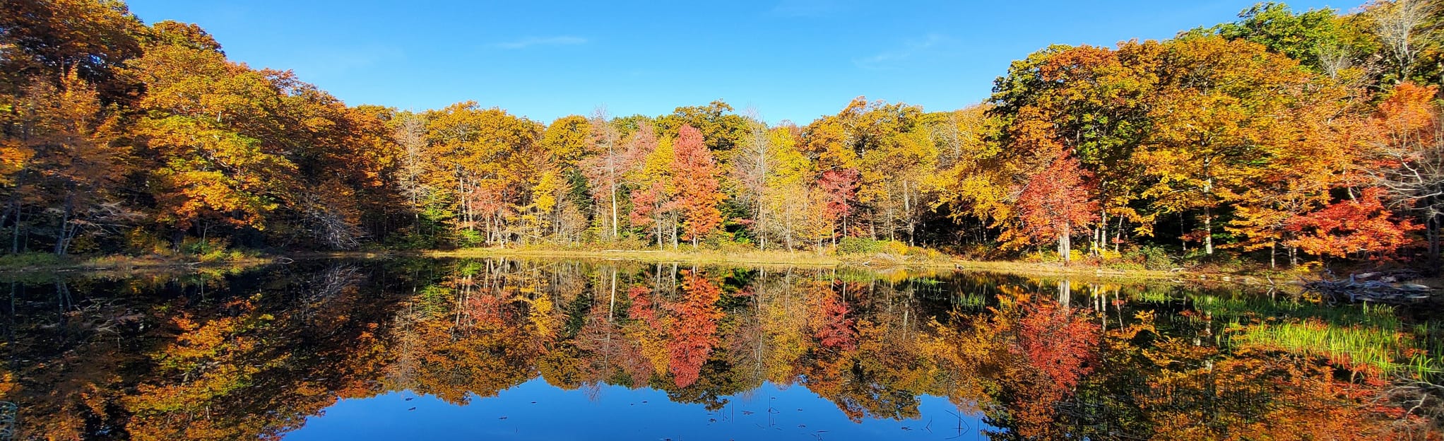 Echo Lake Road, High Meadow, Jack Frost and Harrington Trail: 607 ...