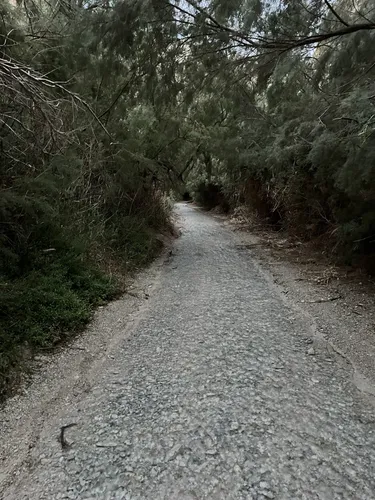 Best Hikes and Trails in Midbar Yehuda Nature Reserve | AllTrails