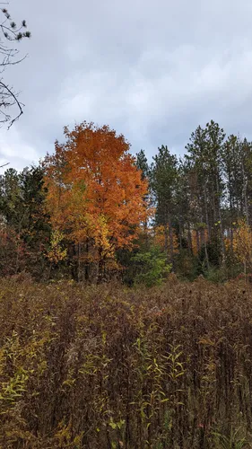 Best Hikes and Trails in Long Sault Conservation Area | AllTrails