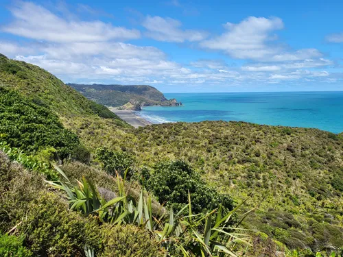 10 Best Trails and Hikes in Piha | AllTrails