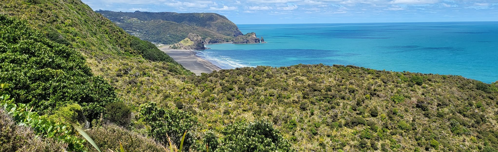 Whites Beach Loop [CLOSED], Auckland, New Zealand - 19 Reviews, Map ...