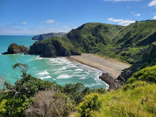 10 Best Trails and Hikes in Piha | AllTrails