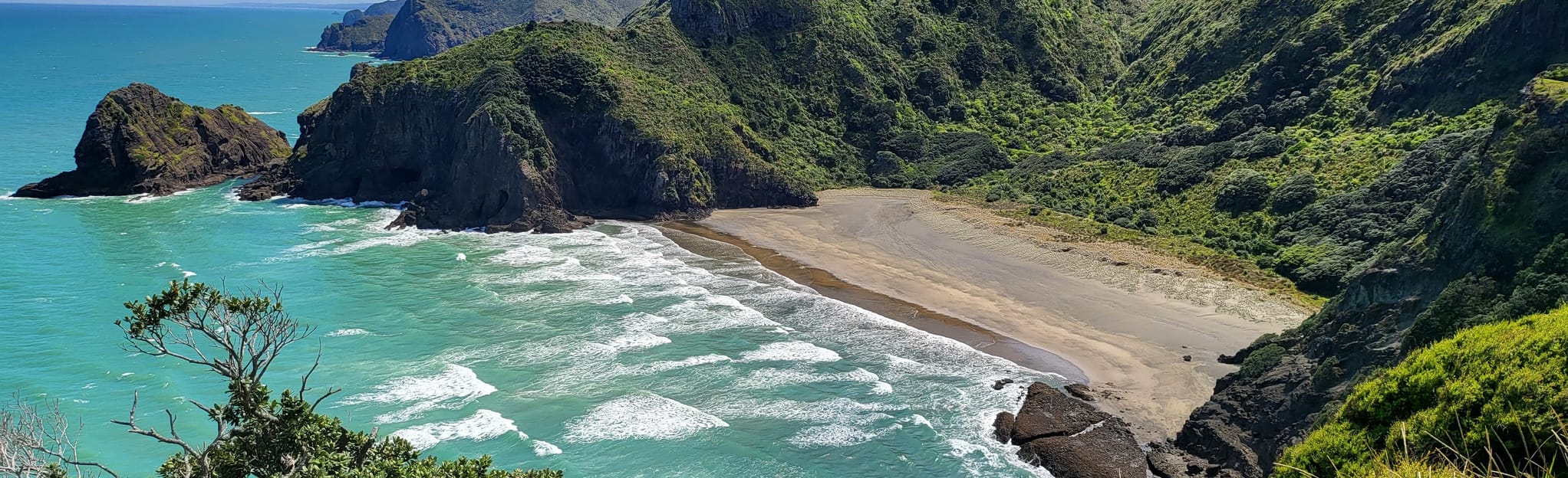 Rose and Laird Thompson Tracks to Te Waha Point [CHIUSO]: 90 foto ...