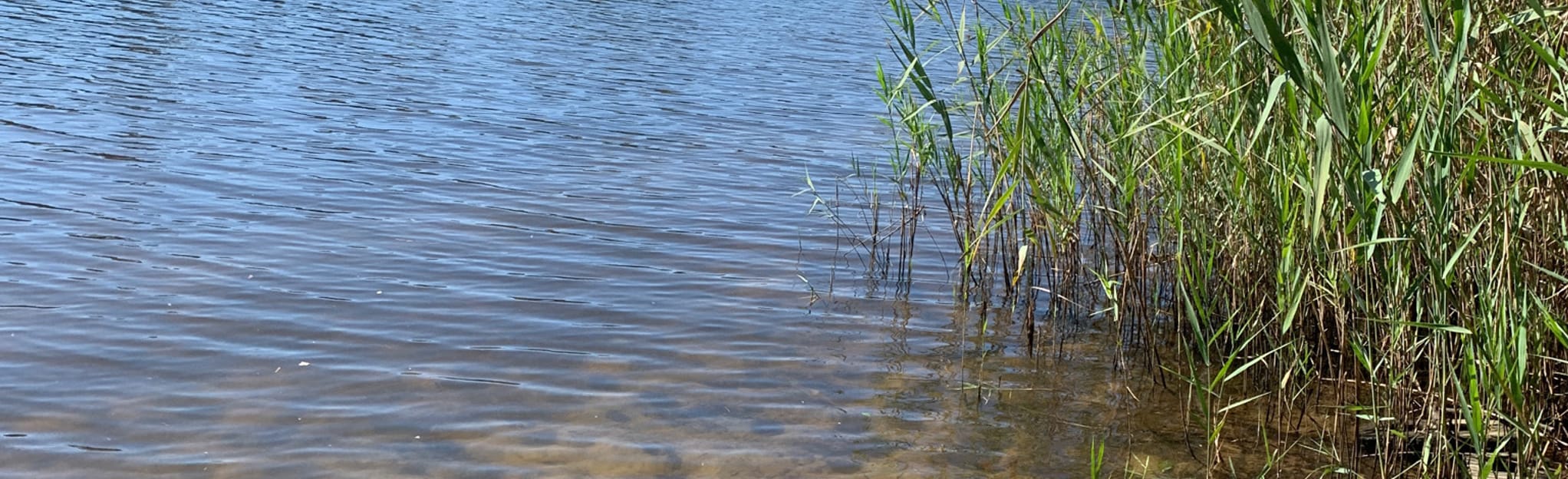 Magothy River Trail - Maryland | AllTrails