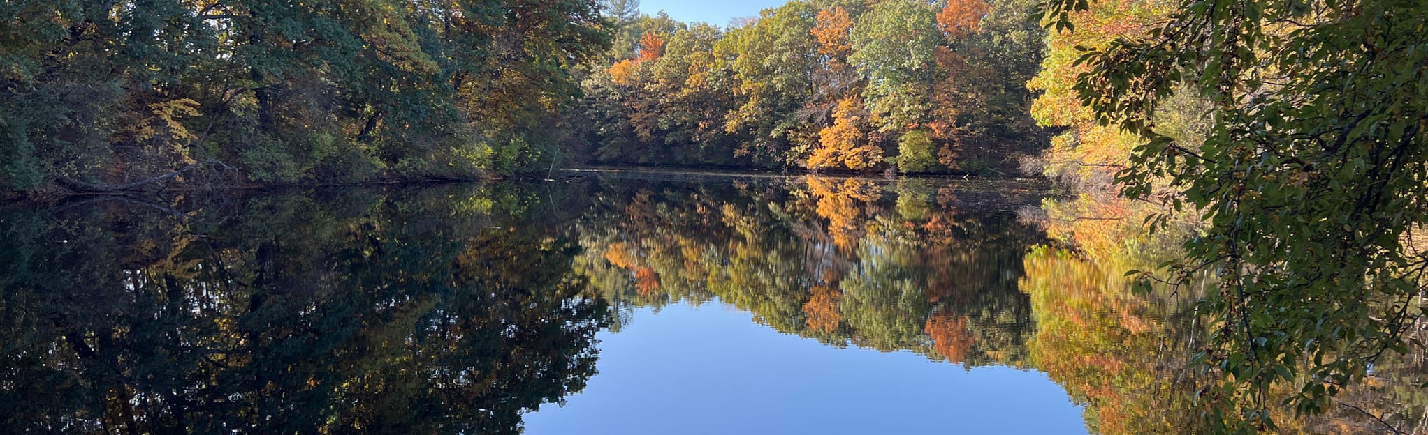 Long Fellow Pond Trail: 128 Reviews, Map - Massachusetts | AllTrails