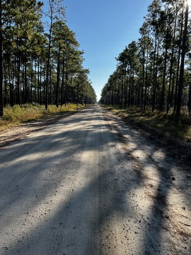 Best Hikes and Trails in Lewis Ocean Bay Natural Heritage Preserve ...
