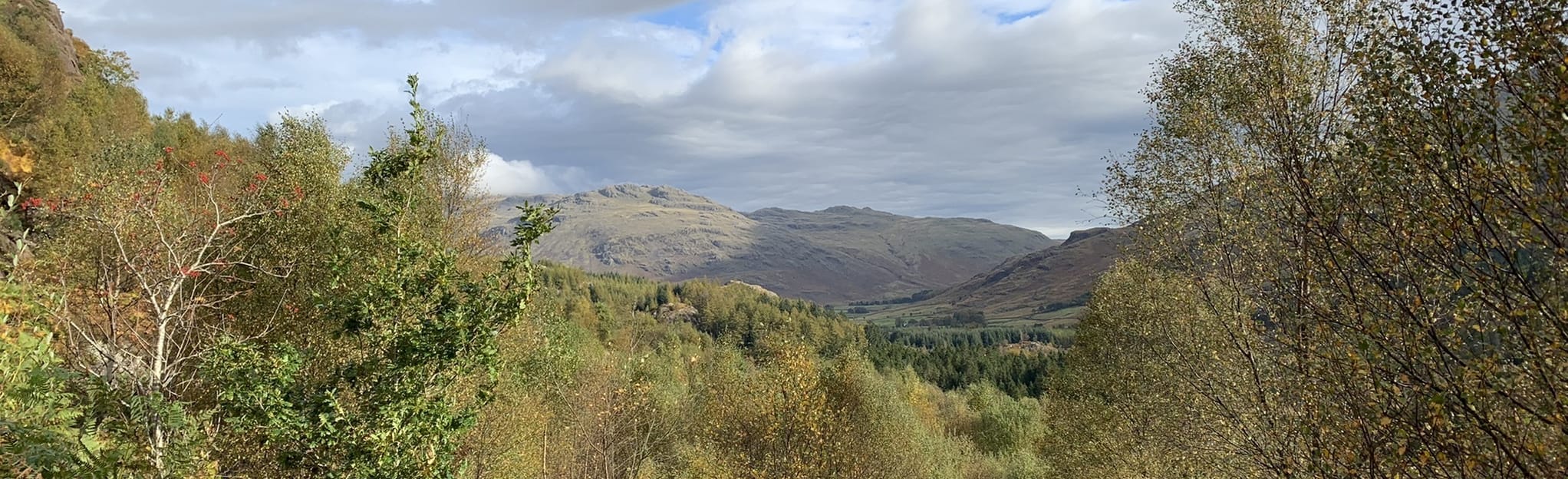 Harter Fell, Green Crag, and Dunnerdale Forest Circular, Cumbria ...