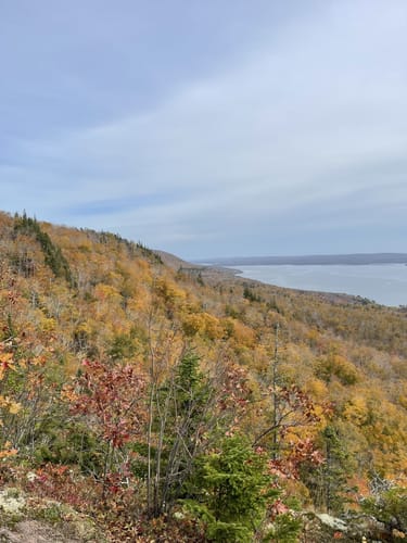 Best Hikes and Trails in Whycocomagh Provincial Park | AllTrails