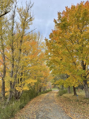 Best Hikes and Trails in Whycocomagh Provincial Park | AllTrails