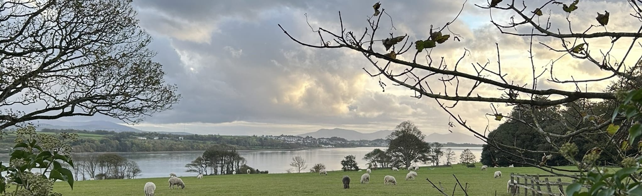 Brynsiencyn Circular, 53 Fotos - Anglesey, Wales | AllTrails