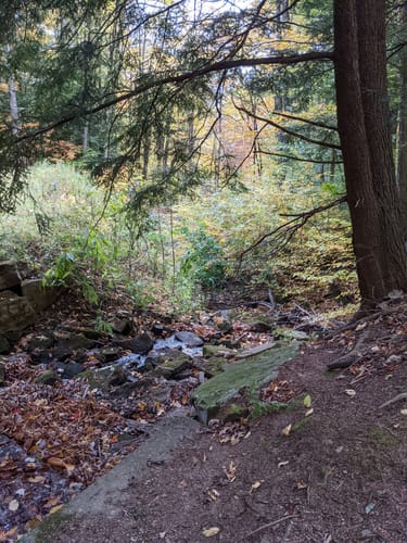 Best Hikes and Trails in Seven Springs Mountain Resort | AllTrails