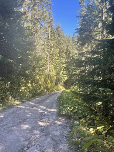 10 Best Hikes and Trails in Mount Spokane State Park | AllTrails