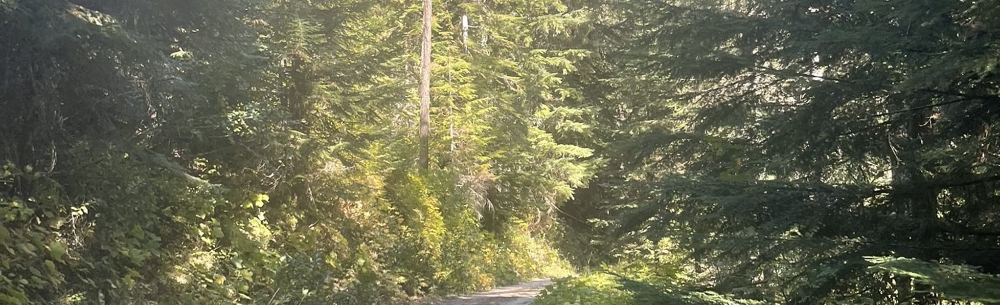 Centennial Snowshoe Hut via Mount Kit Carson Loop Road: 324 Reviews ...