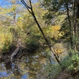 Elk Run, Virginia - 299 Reviews, Map | AllTrails