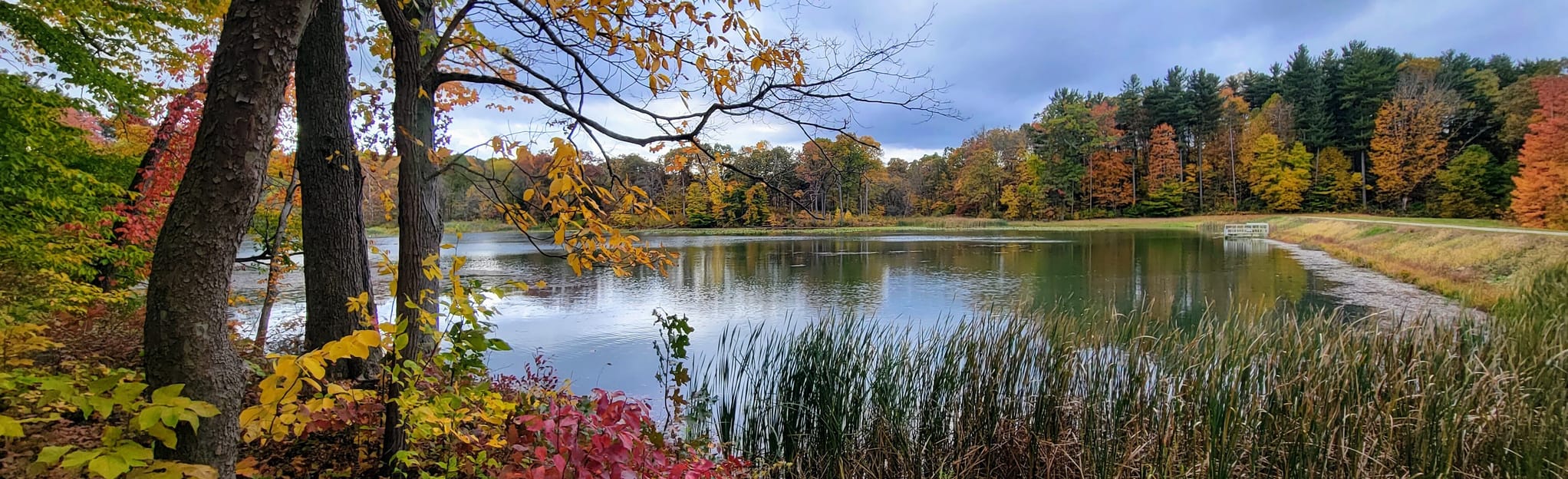 Wetmore, Lake and Salt Run Trail Loop : 533 Reviews, Map - Ohio | AllTrails