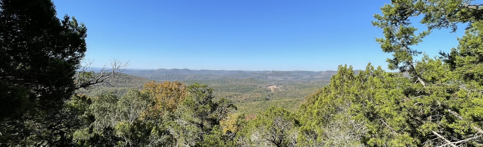 Devils Knob Loop: 172 Reviews, Map - Arkansas | AllTrails