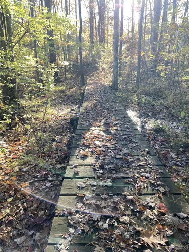 Best Hikes and Trails in Dover | AllTrails