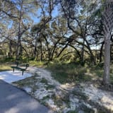 Coastal Anclote Trail, Florida - 192 Reviews, Map | AllTrails