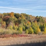 Waterloo-Pinckney Trail, Michigan - 434 Reviews, Map | AllTrails