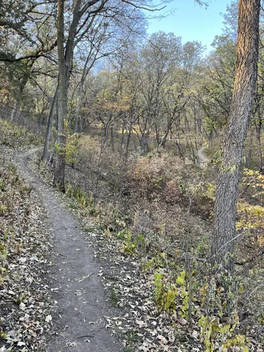 Best Hikes and Trails in Ponca State Park | AllTrails