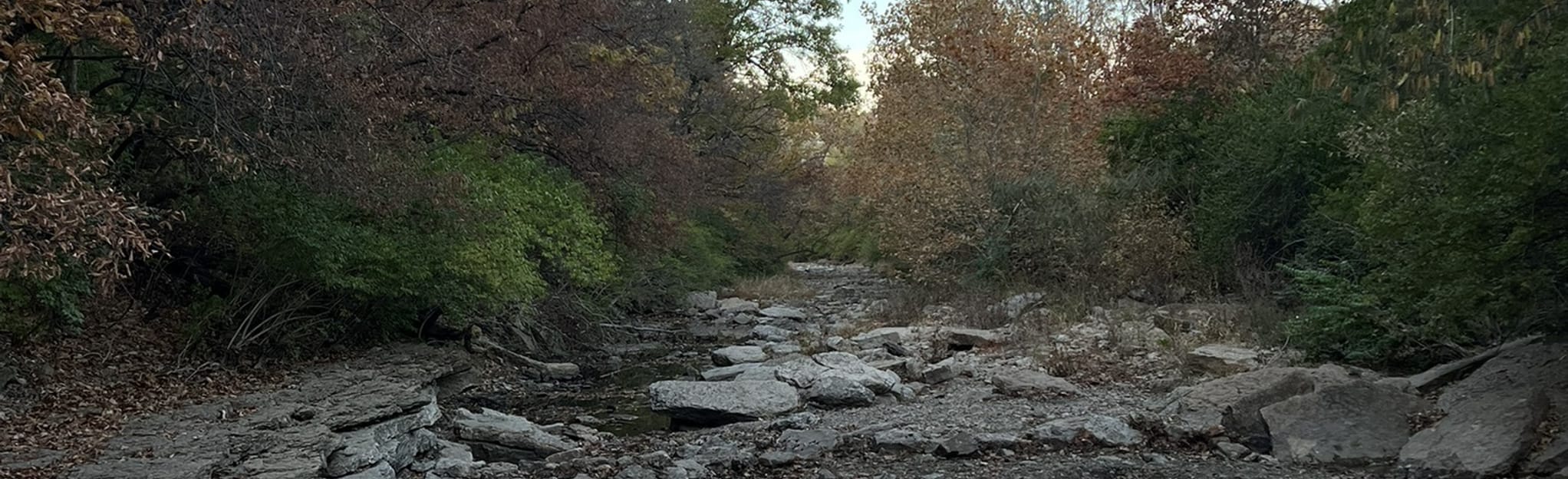 Winterset Park Nature Area Trail, Missouri - 283 Reviews, Map | AllTrails