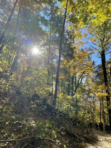 10 Best Hikes and Trails in Berea College Forest | AllTrails