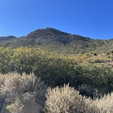 Wheeler Pass OHV Trail, Nevada - 219 Reviews, Map | AllTrails