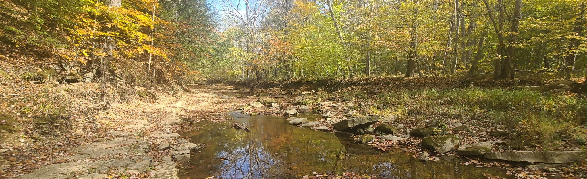 Green’s Bluff North Loop Trail: 205 Reviews, Map - Indiana | AllTrails