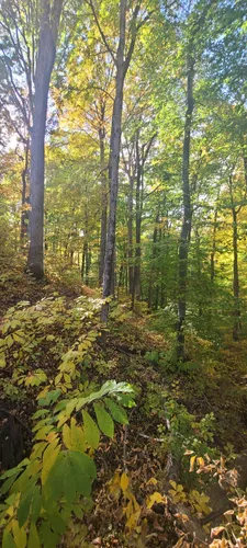 Best Hikes and Trails in Green's Bluff Nature Preserve | AllTrails