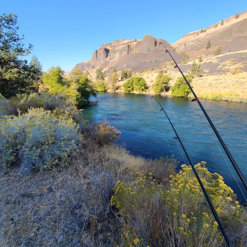 2023 Best River Trails in Warm Springs | AllTrails